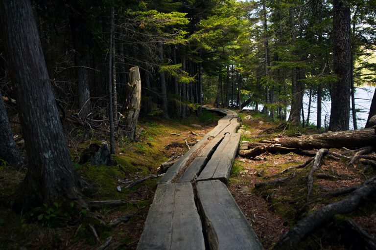 10 Breathtaking Photos of Acadia National Park - Jernej Letica
